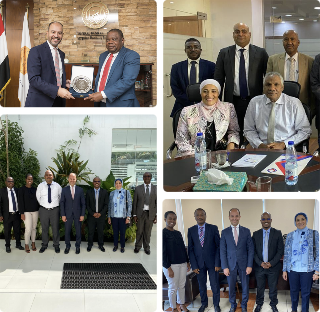 COLLABORATIONS AND VISITS – EBI