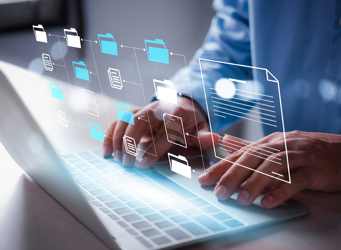 Training Portfolio – EBI